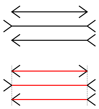 Müller-Lyer Illusion | An Optical Illusion