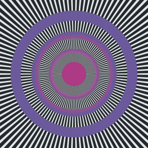 Enigma | An Optical Illusion