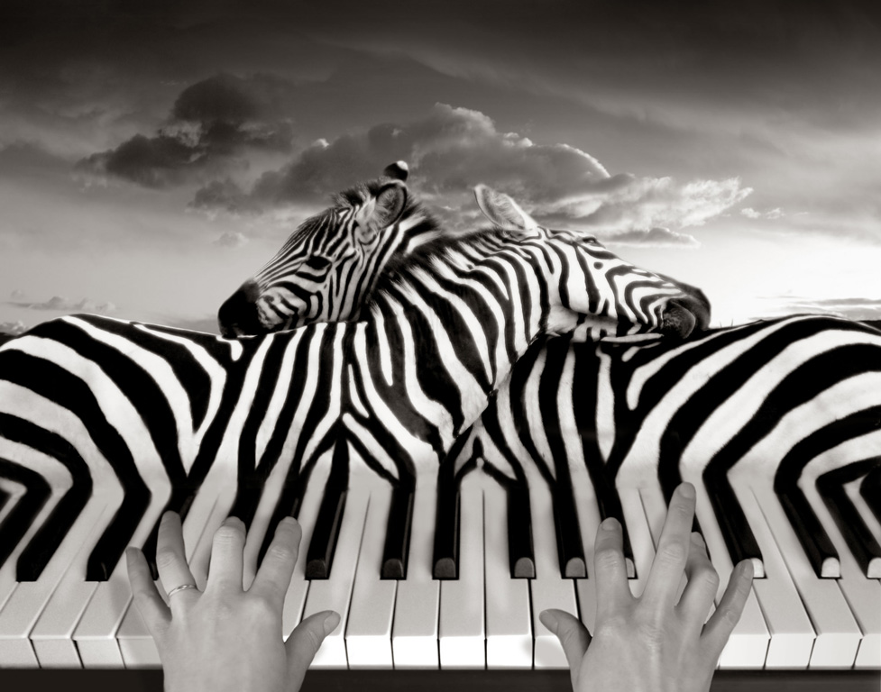 The Art of Thomas Barbèy | An Optical Illusion