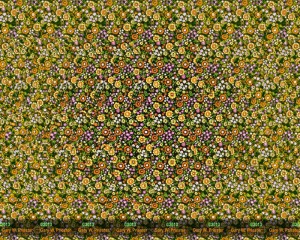 Butterfly Stereogram by Gary Priester | An Optical Illusion
