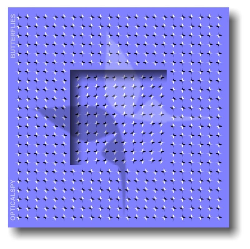 Butterflies | An Optical Illusion