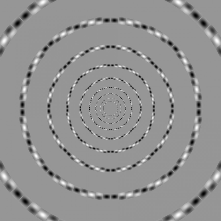 Concentric Circles by Akiyoshi Kitaoka | An Optical Illusion