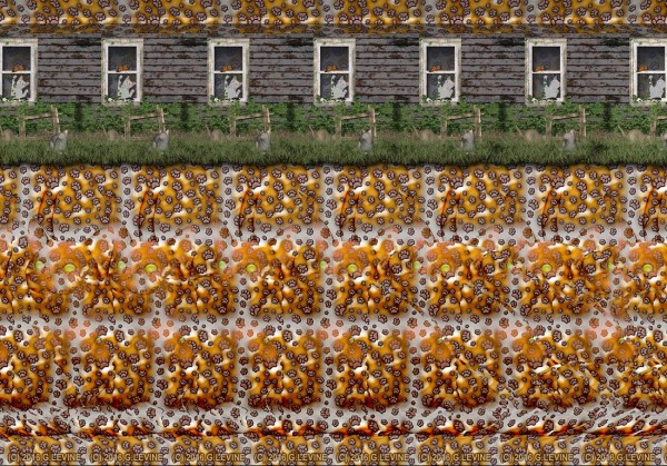 Cat House by Gene Levine | An Optical Illusion