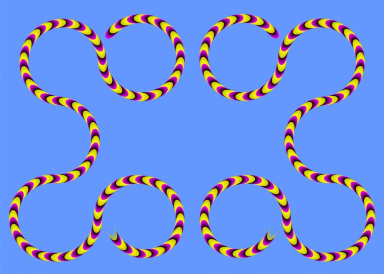 Two Red Snakes | An Optical Illusion