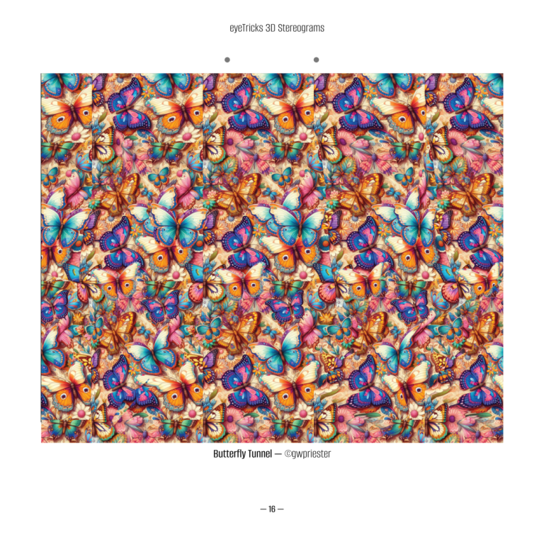 It’s a New Book! The World’s Best Stereograms. Honest!