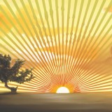 Ship Between Buildings Illusion | An Optical Illusion